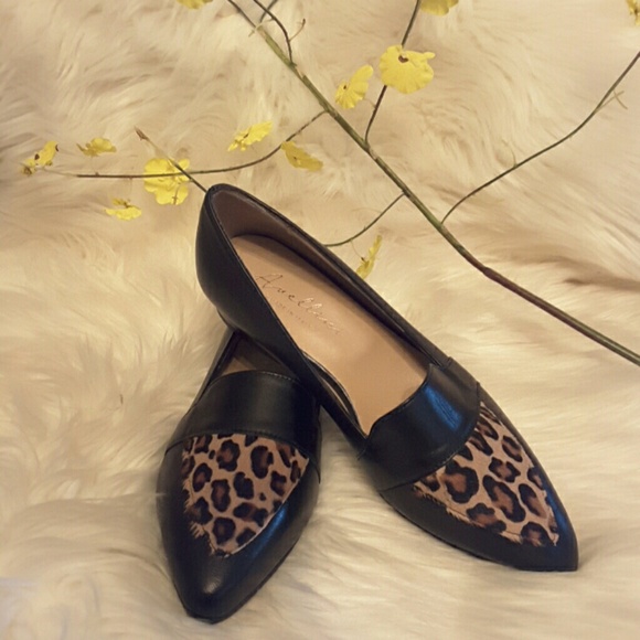 Avellini | Shoes | Avellini Genuine Leather With Leopard Print | Poshmark